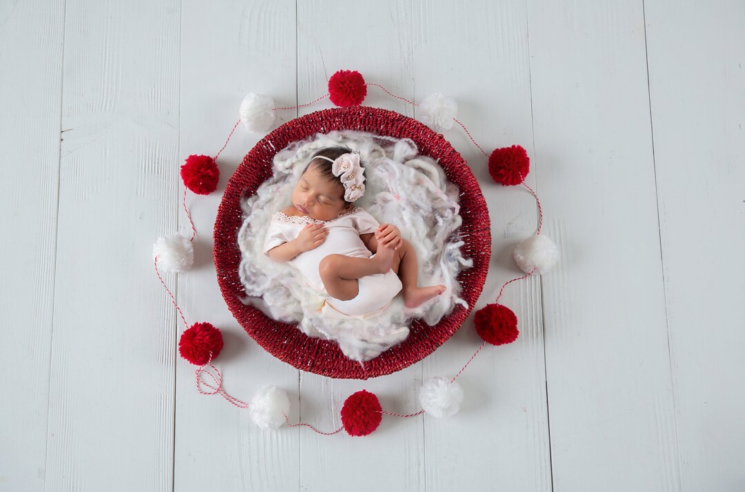 Newborn Digital Backdrop Red and White Valentine's Day Nest Newborn ...
