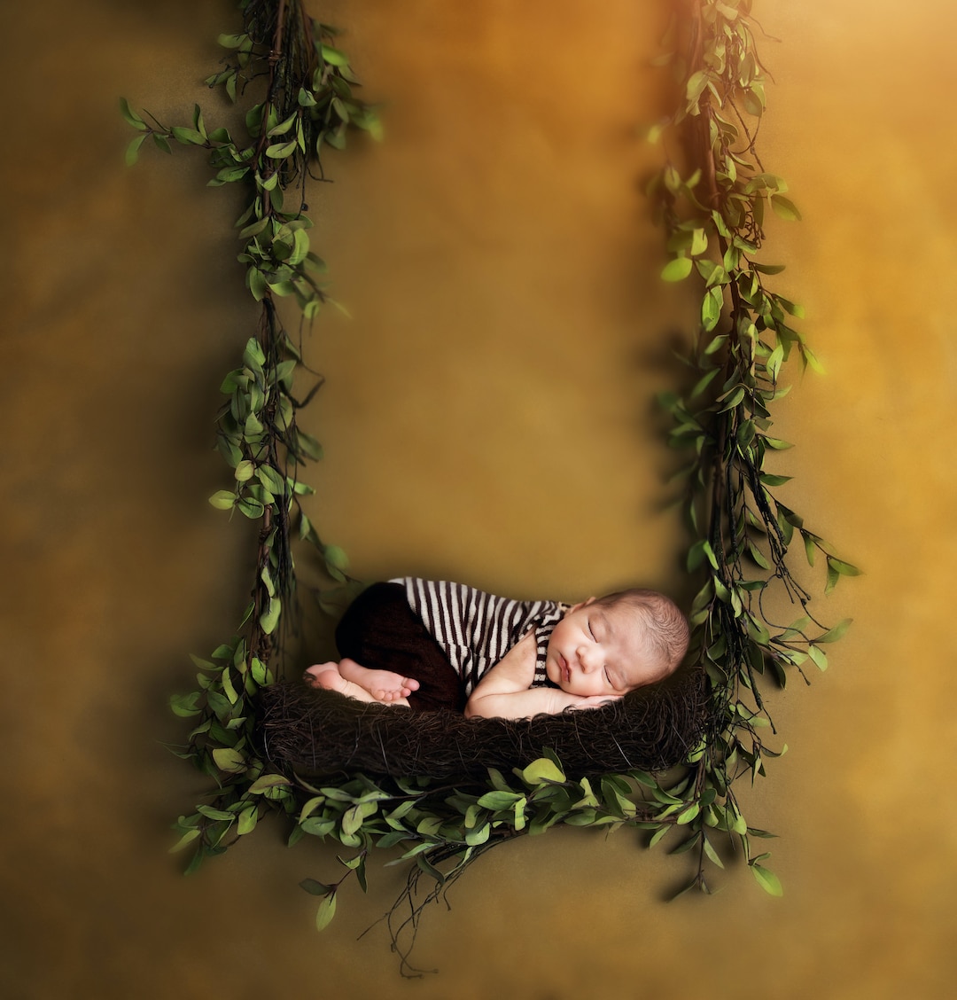 Newborn Digital Backdrop Hanging Swing for Boys Newborn Digital ...