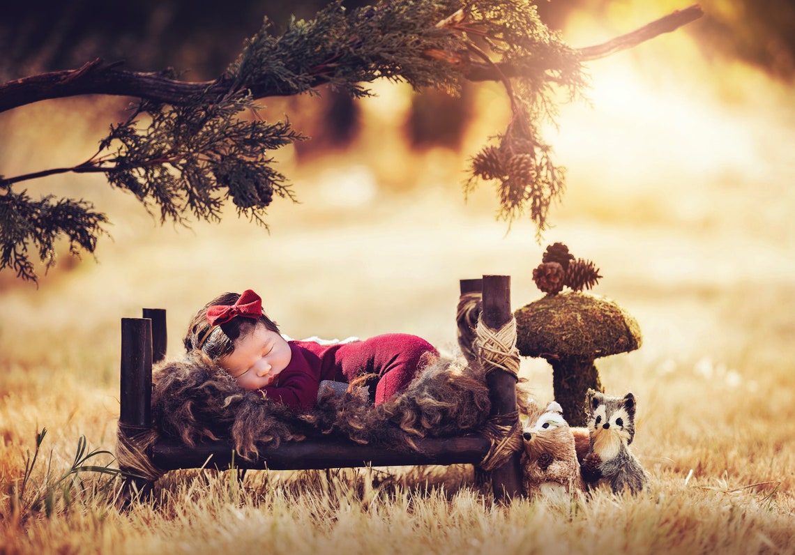 Newborn Digital Backdrop Outdoor Woodland Backdrop, Newborn Digital ...