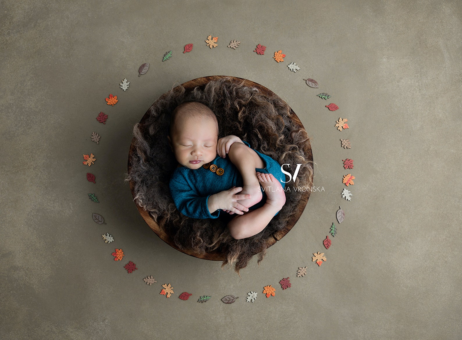 Newborn Digital Backdrop Fall Backdrop With Autumn Leaves Newborn ...