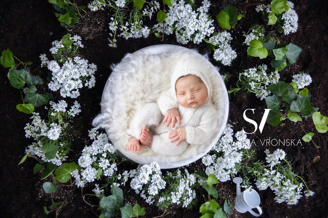 Newborn Digital Backdrop Beautiful Fresh Garden With White Flowers ...