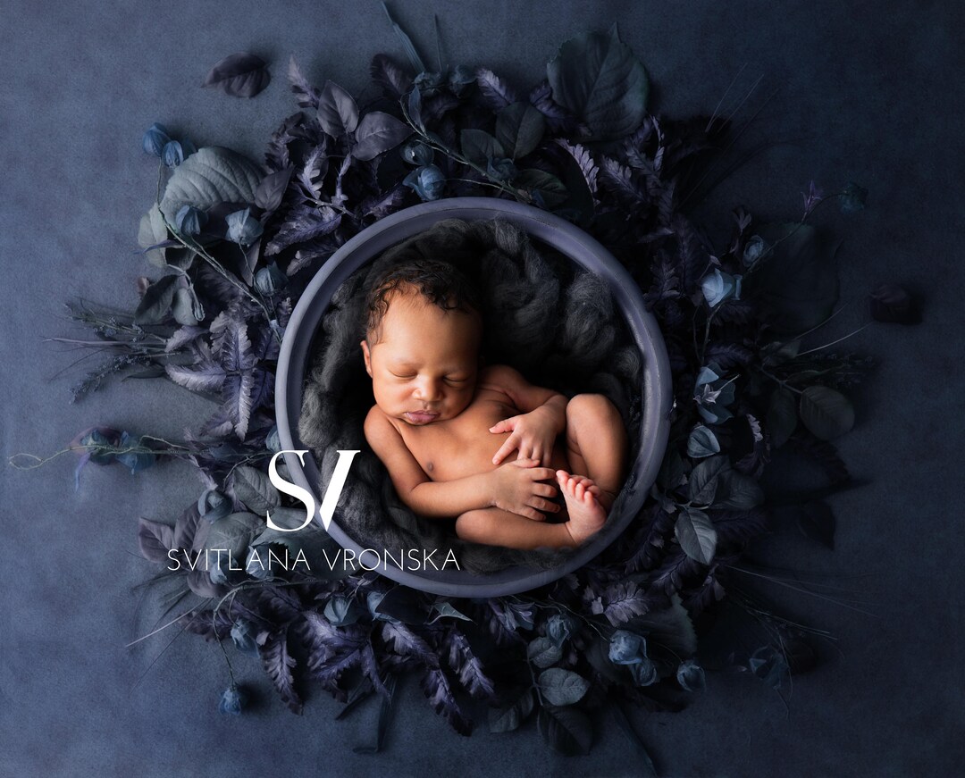 Digital Background Boy Newborn Digital Backdrop, Shalky Blue Dream Nest ...