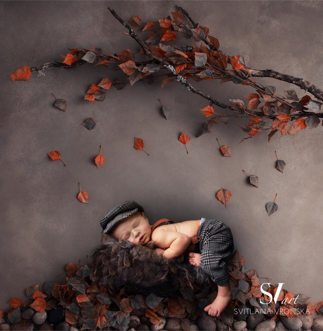 Newborn Digital Backdrop Fall Leaves Newborn Digital Background Autumn ...
