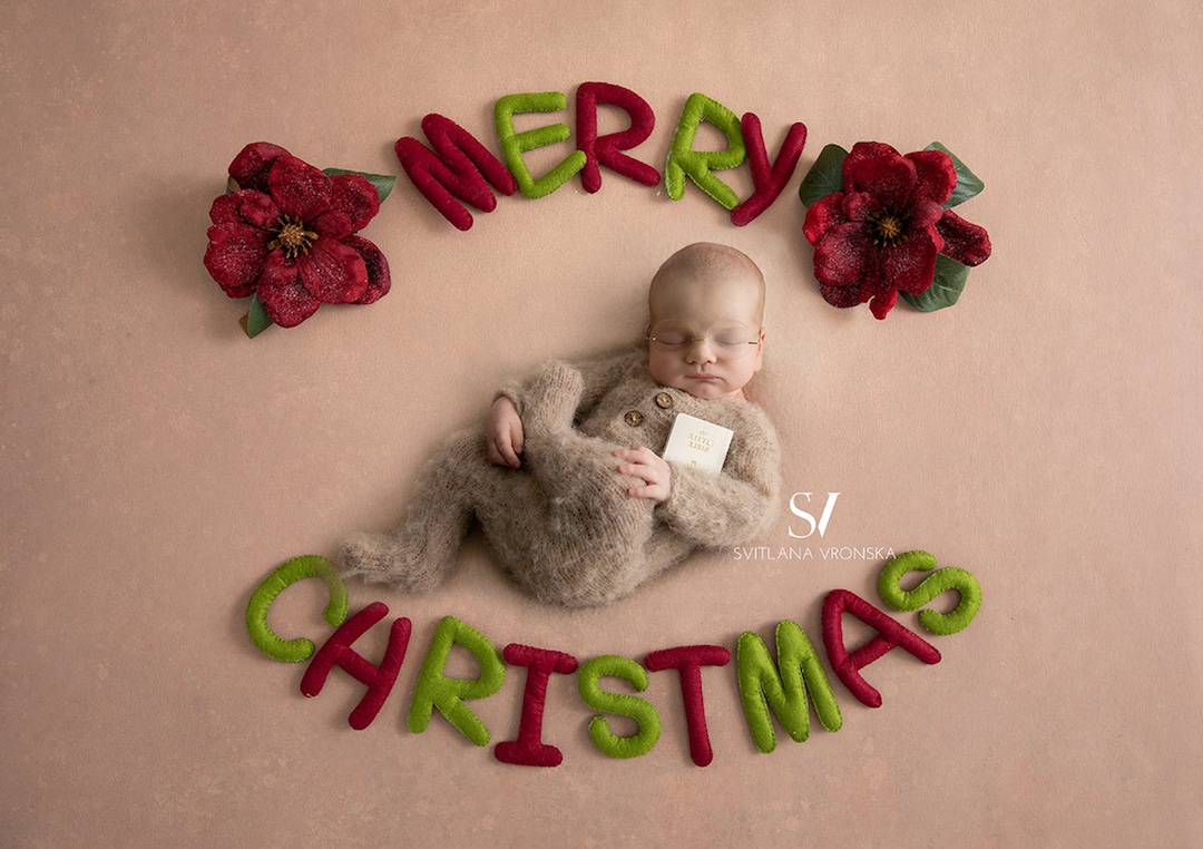 Digital Backdrop Merry Christmas Holiday Backdrop Newborn Digital ...