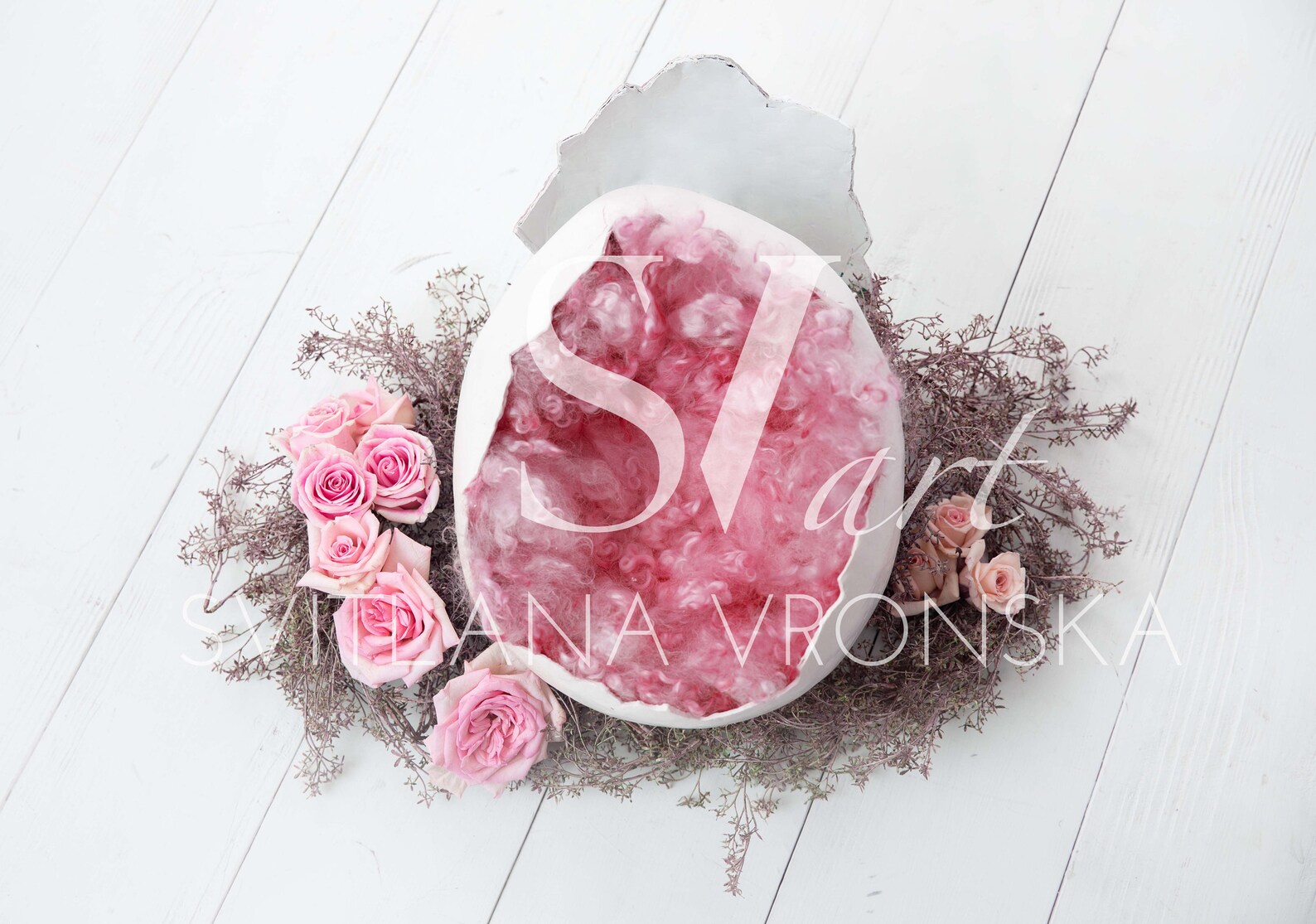 Floral Egg Shell Newborn Digital Backdrop Digital Egg Prop | Etsy