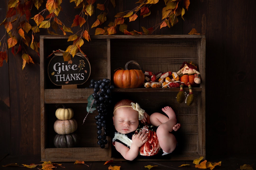 Digital Backdrop Newborn Digital Background Autumn Backdrop With ...