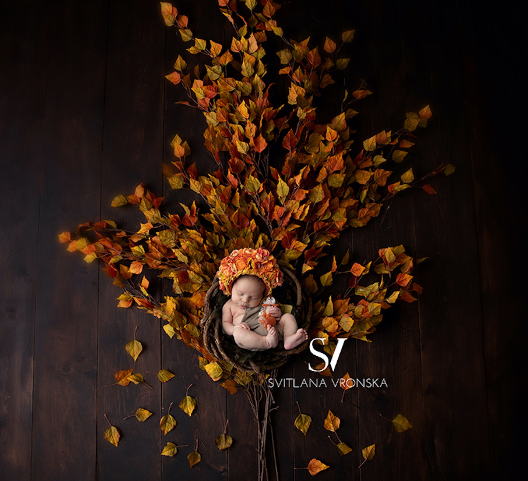 Autumn Tree With a Nest and Falling Leaves Newborn Digital | Etsy
