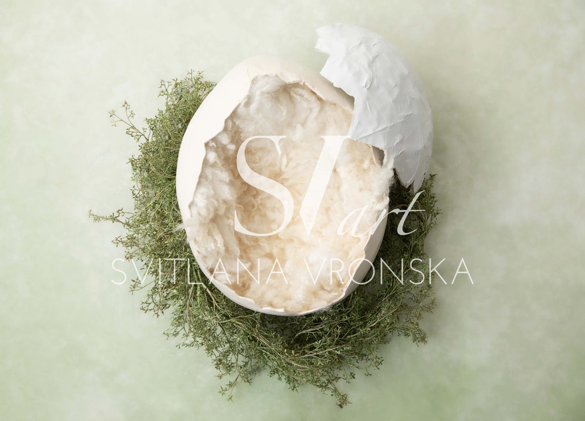 Newborn Digital Backdrop Egg Shell Newborn Digital Background | Etsy