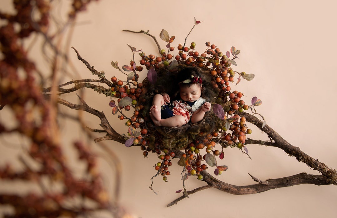 Newborn Digital Backdrop Tree Baby Nest, Newborn Photography Prop ...