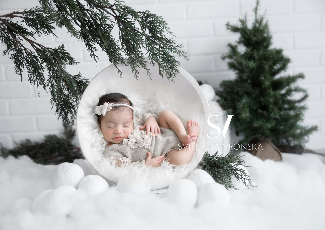 Winter Digital Backdrop Newborn Digital Background Snowy Scene With Fir ...