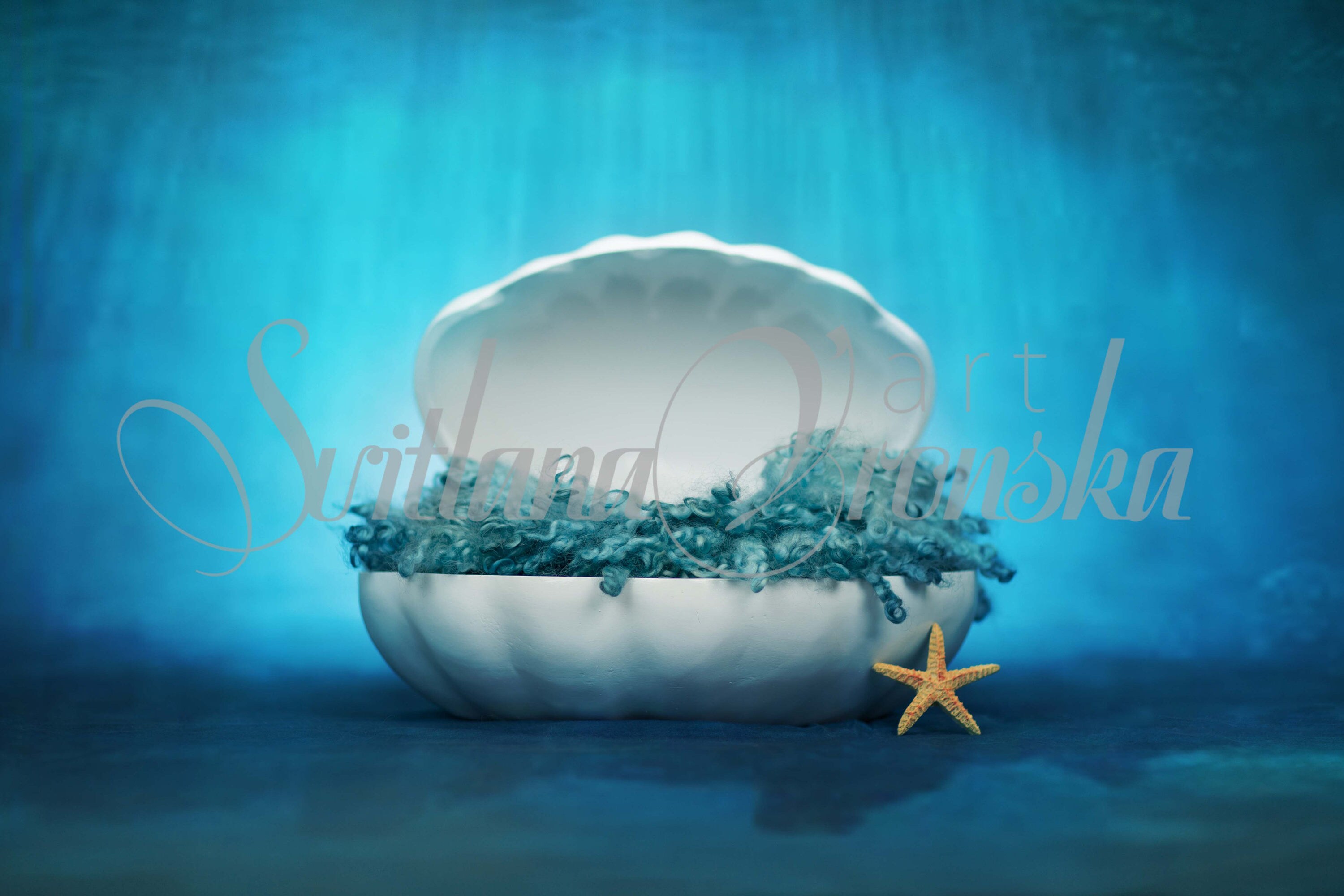 Beautiful Underwater Pearl Clam Shell With Sunrays Newborn | Etsy