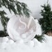 Winter Digital Backdrop Newborn Digital Background Snowy Scene With Fir ...
