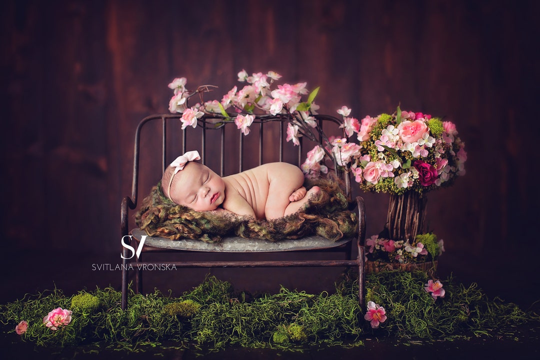 Newborn Digital Backdrop, Bench in a Garden, Newborn Digital Background ...