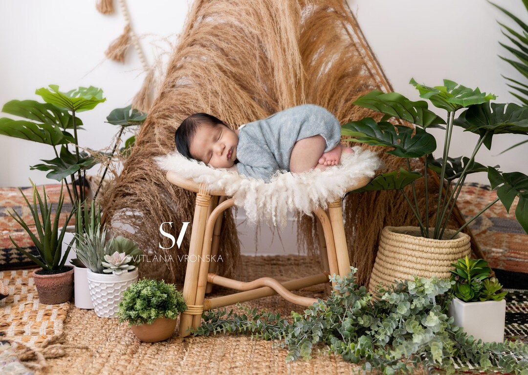 Newborn Digital Backdrop BOHO Baby Photography Newborn Digital ...