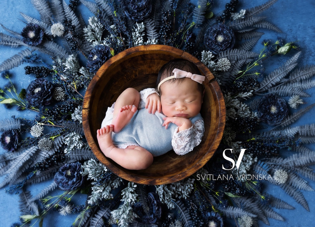 Newborn Digital Backdrop Blue Floral Nest Newborn Digital Background ...