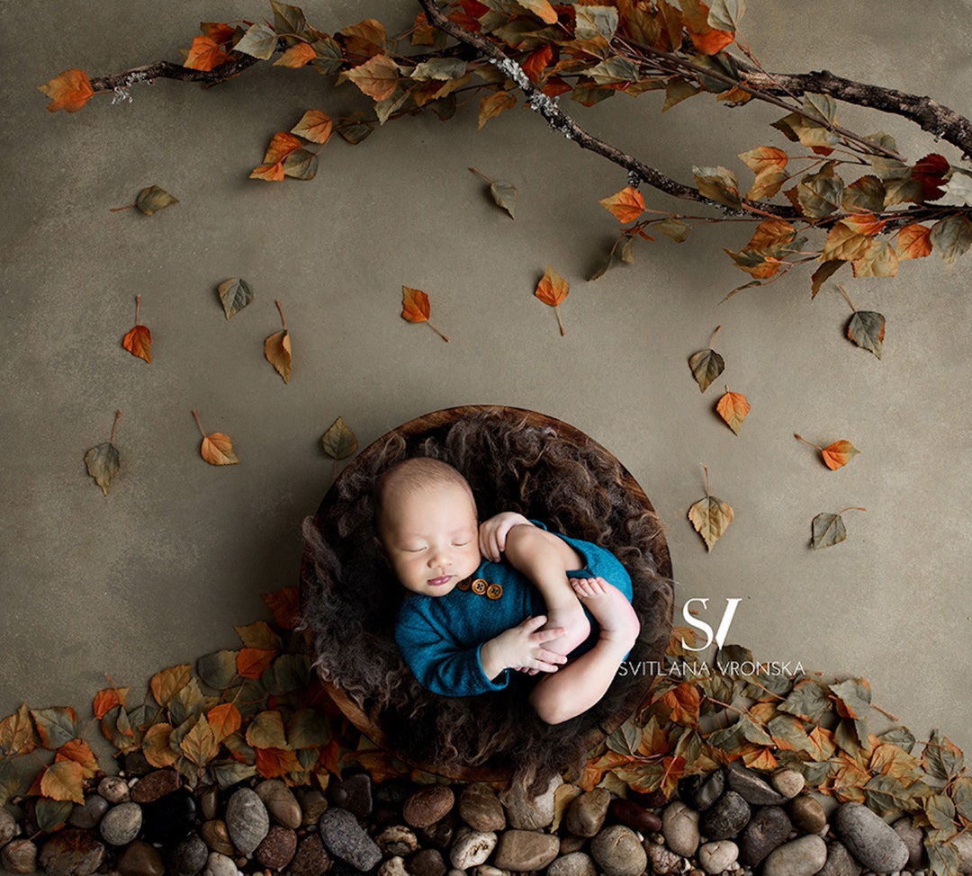 Newborn Digital Backdrop Moody Autumn Backdrop for Newborn Photography ...