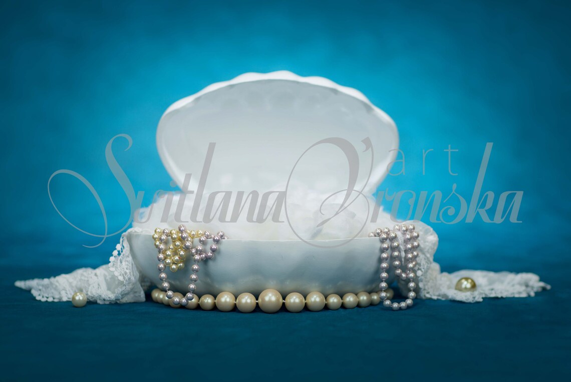 White Clam Shell With Pearls Digital Backdrop - Digital Background ...