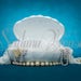 White Clam Shell With Pearls Digital Backdrop - Digital Background ...