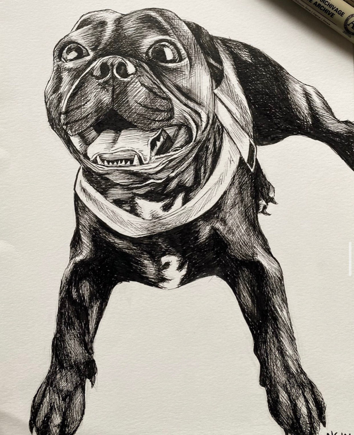 CUSTOM Original Pet Portrait Pen Drawings, Various Sizes! - Etsy