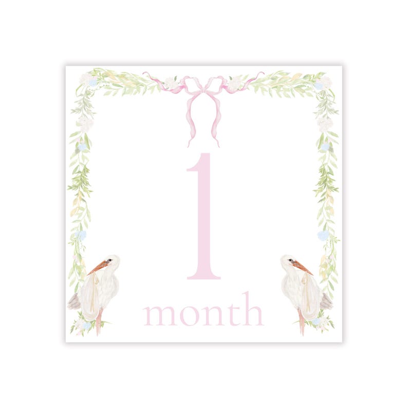 Baby Milestone Cards, Stork Milestone Cards, Baby Girl Milestone Cards ...