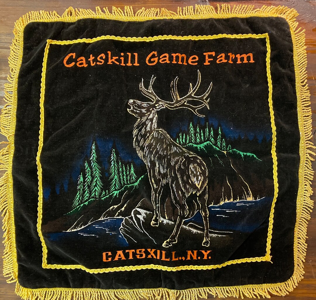 Vintage Catskill Game Farm Pillow Cover - Catskill Mountains Soiuvenir ...
