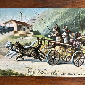 Vintage Catskill Mountains Postcard Just Leaving the Catskills Cats in a Wagon Pulled by Cats ...