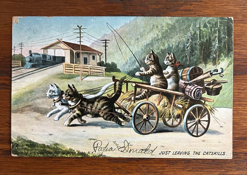 Vintage Catskill Mountains Postcard Just Leaving the Catskills Cats in a Wagon Pulled by Cats ...
