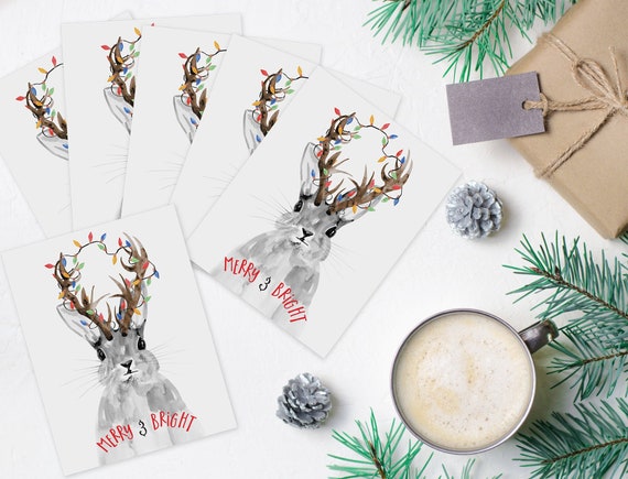Jackalope Postcard Christmas Post Card Sets Holiday Card - Etsy