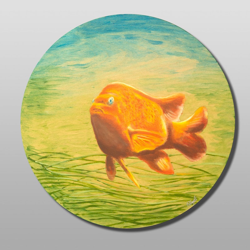 Garibaldi Fish - Etsy