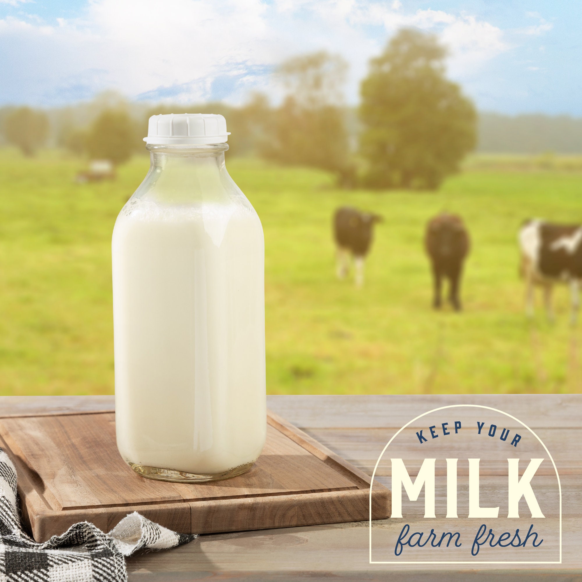 Replacement Caps for Kitchentoolz Milk Bottles 48MM - Milk Jug Snap-on ...