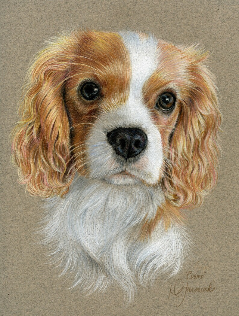 Custom Pet Portraits, Colored Pencil Pet Portraits, Hand-drawn Pet ...