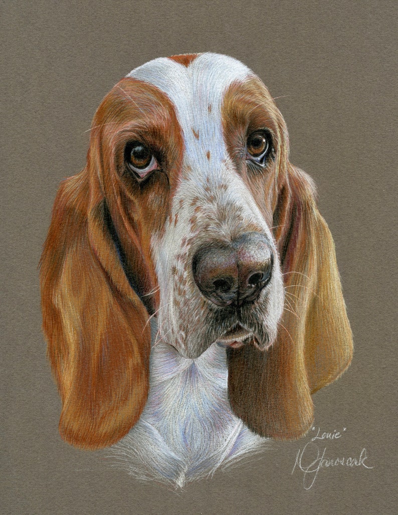 Custom Pet Portraits, Colored Pencil Pet Portraits, Hand-drawn Pet ...