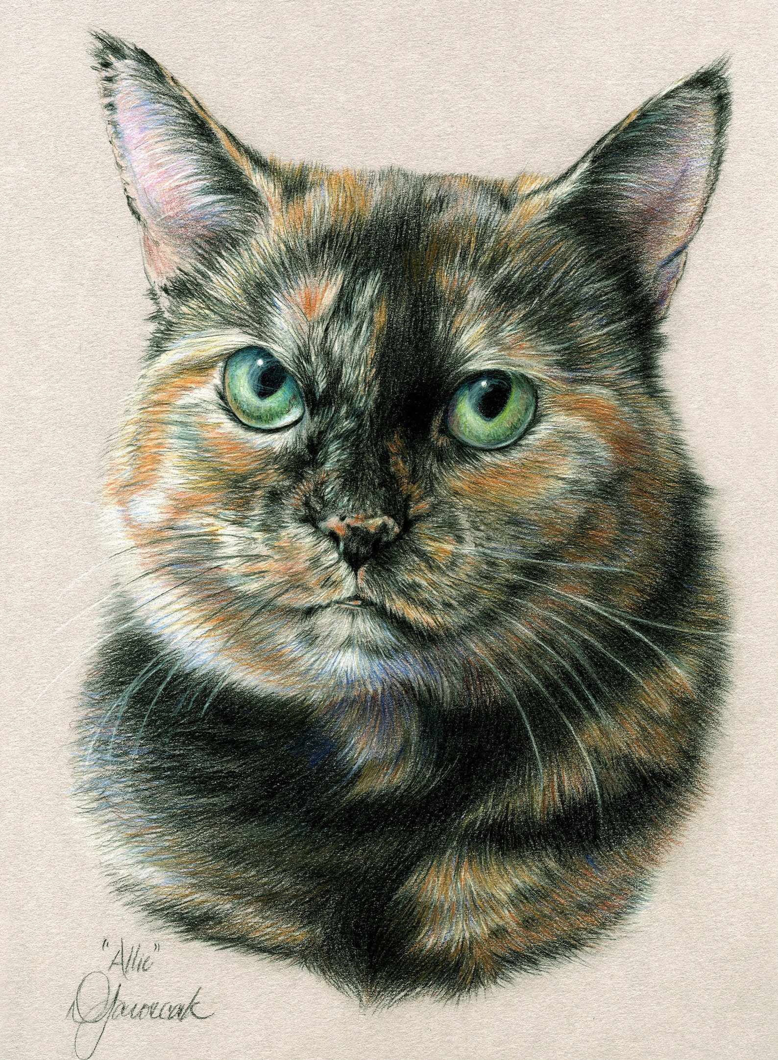 Custom Pet Portraits, Colored Pencil Pet Portraits, Hand-drawn Pet ...