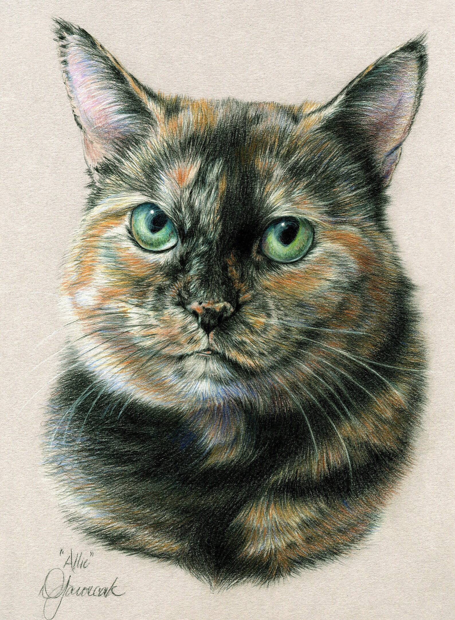Custom Pet Portraits Colored Pencil Pet Portraits Hand-drawn - Etsy