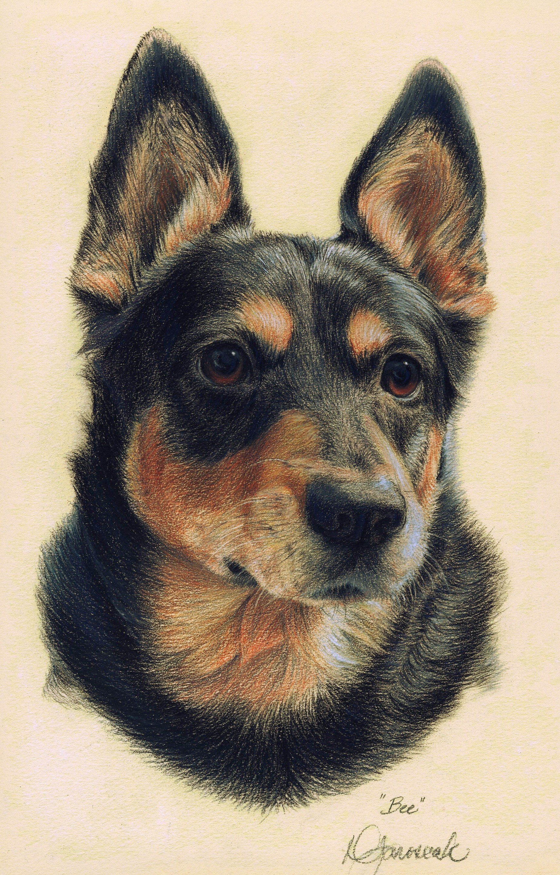 Custom Pet Portraits Colored Pencil Pet Portraits Hand-drawn - Etsy
