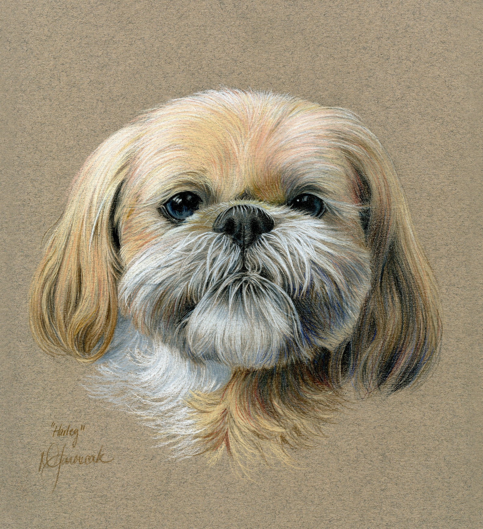 Colored Pencil Pet Portraits