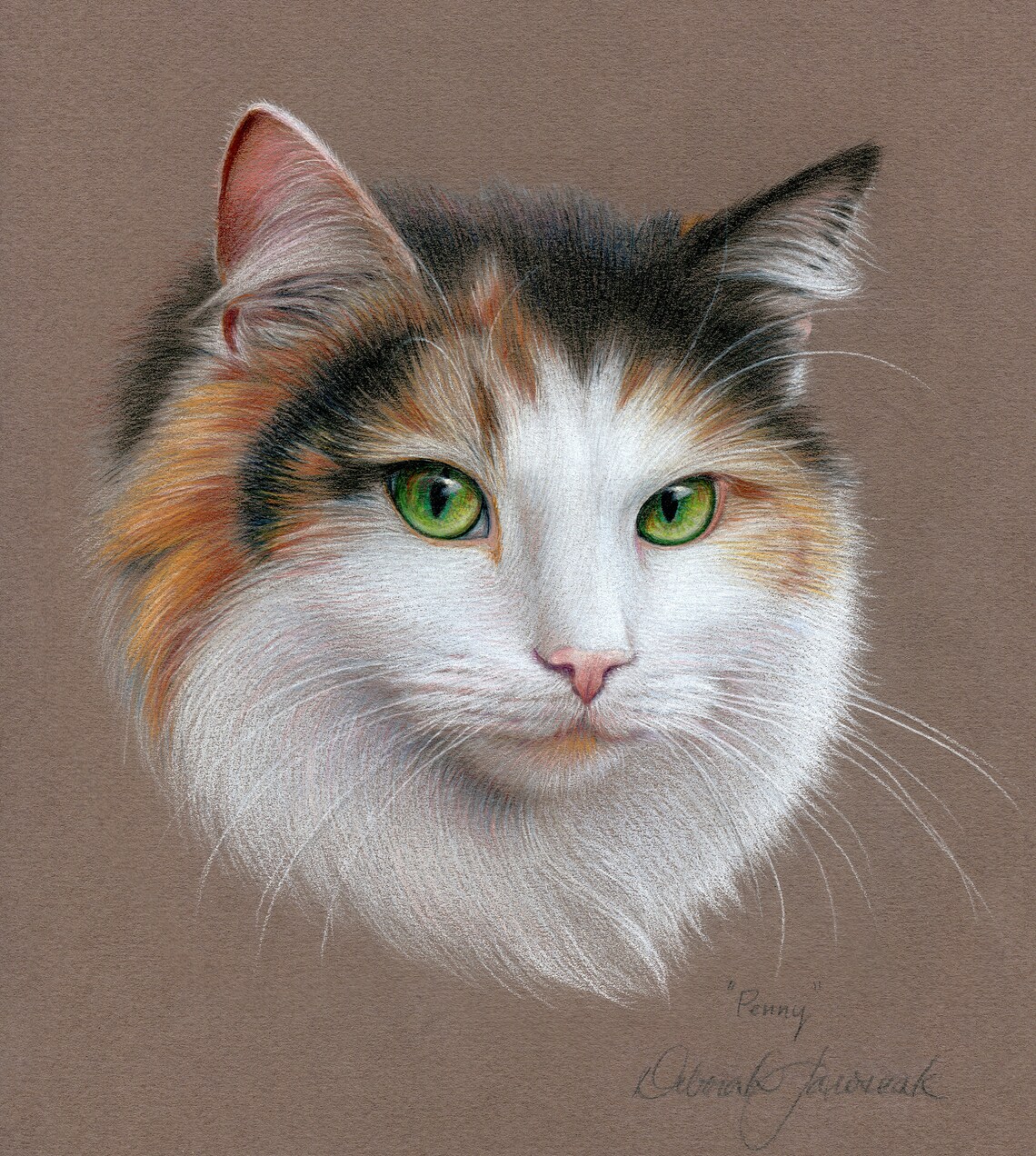 Custom Pet Portraits Colored Pencil Pet Portraits Hand-Drawn | Etsy