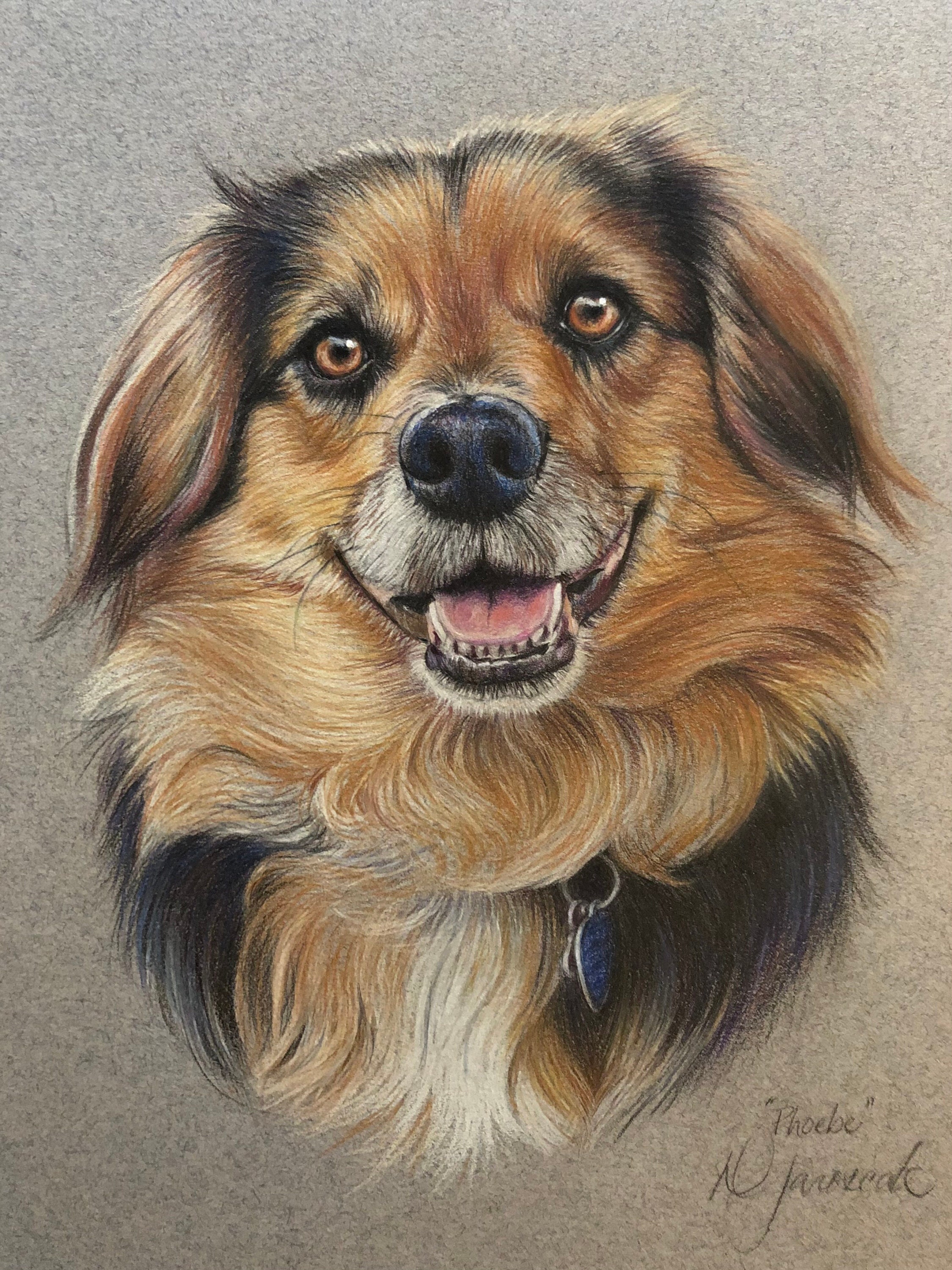 Custom Pet Portraits, Colored Pencil Pet Portraits, Hand-drawn Pet ...