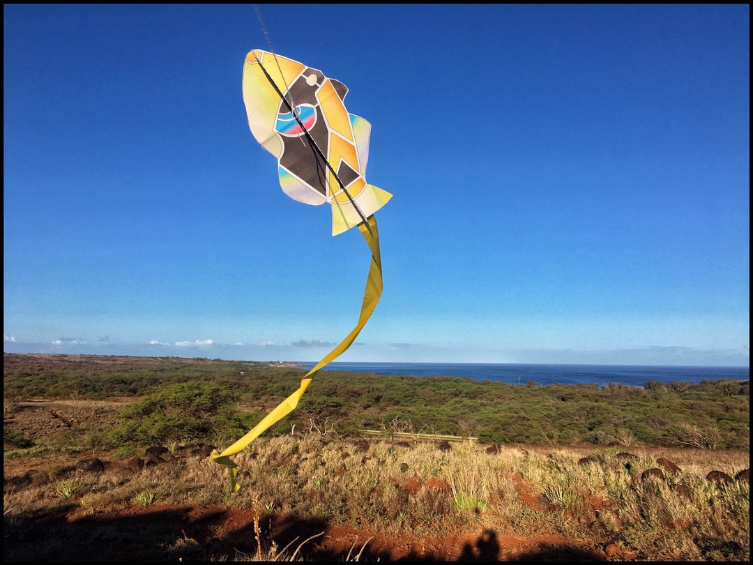 Paper Kite Template - Hawaiian Humu Fish (humuhumunukunukuapaa) Trigger ...