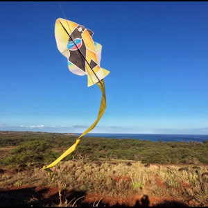 bigwindkitefactory - Etsy