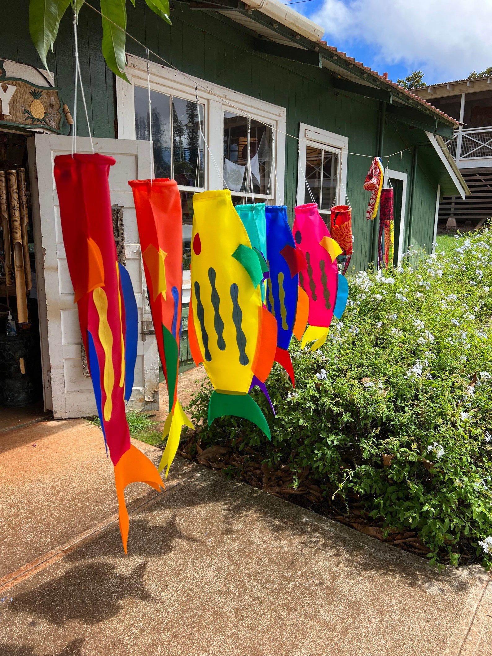 Tropical Fish Windsock Choose From One of Our Rainbow - Etsy