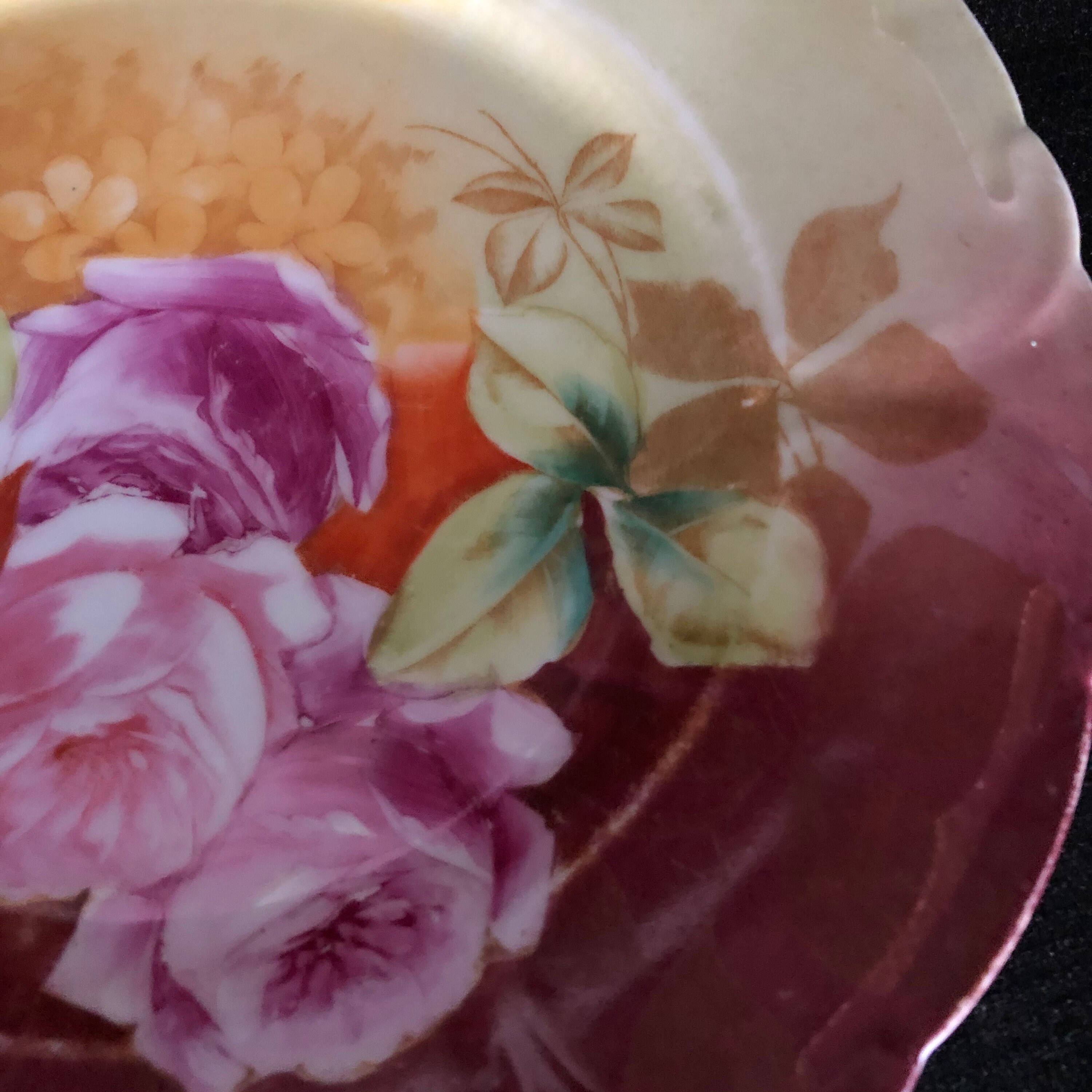 Pair Antique Porcelain Limoges Plates - Hand Painted Floral Porcelain ...