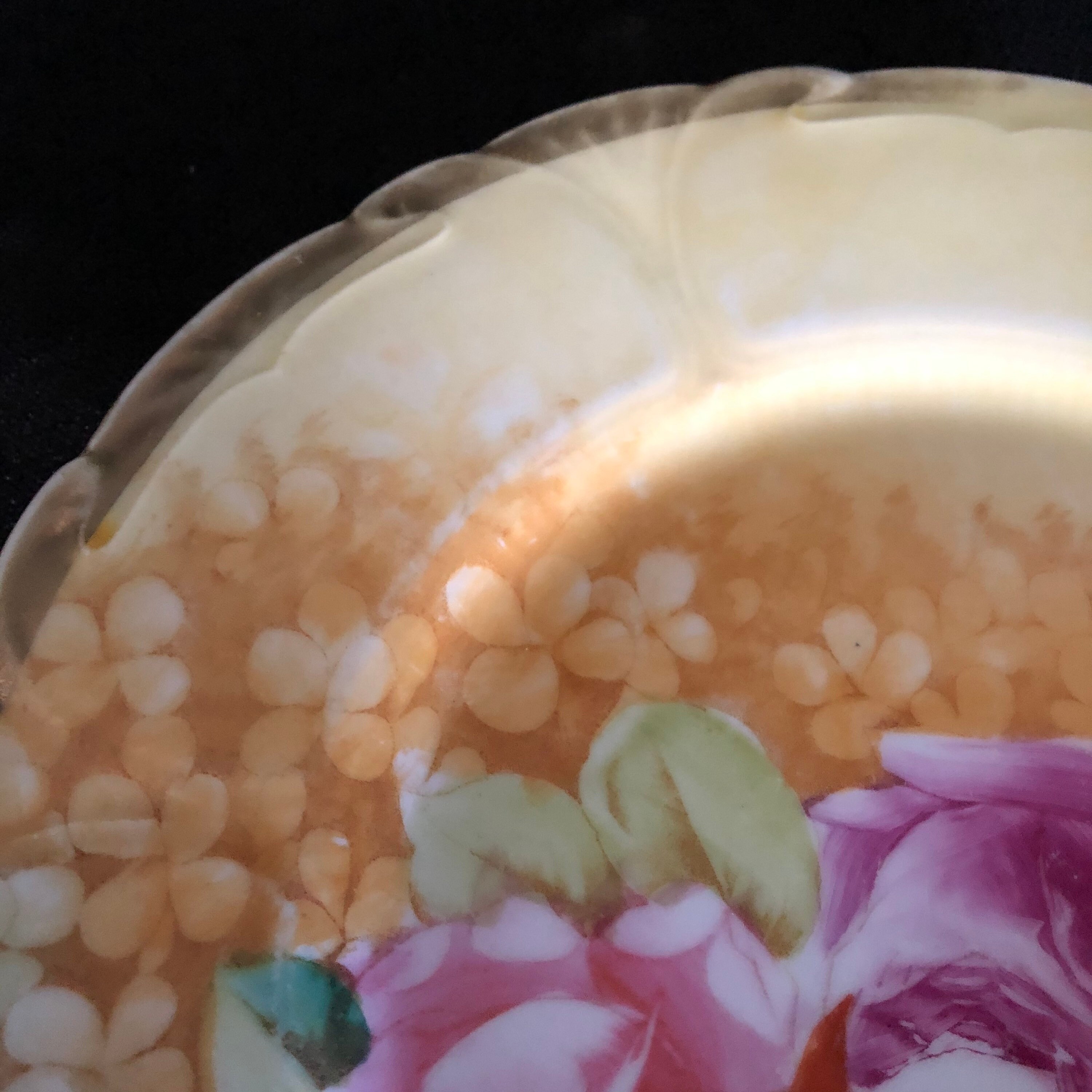 Pair Antique Porcelain Limoges Plates - Hand Painted Floral Porcelain ...