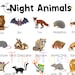 Nocturnal Animal Poster, Night Animals, Science, Homeschool Printable ...