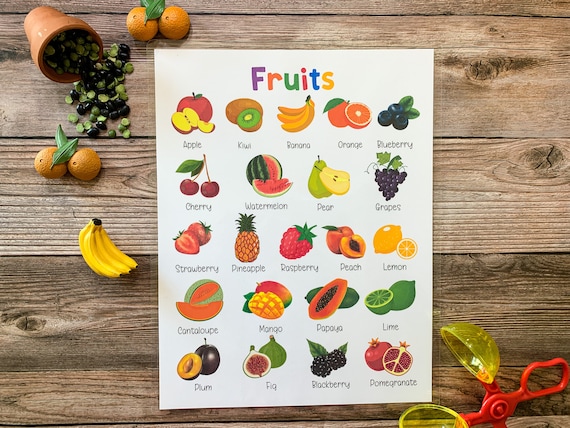 Fruits Educational Poster Art Printable Classroom Poster - Etsy