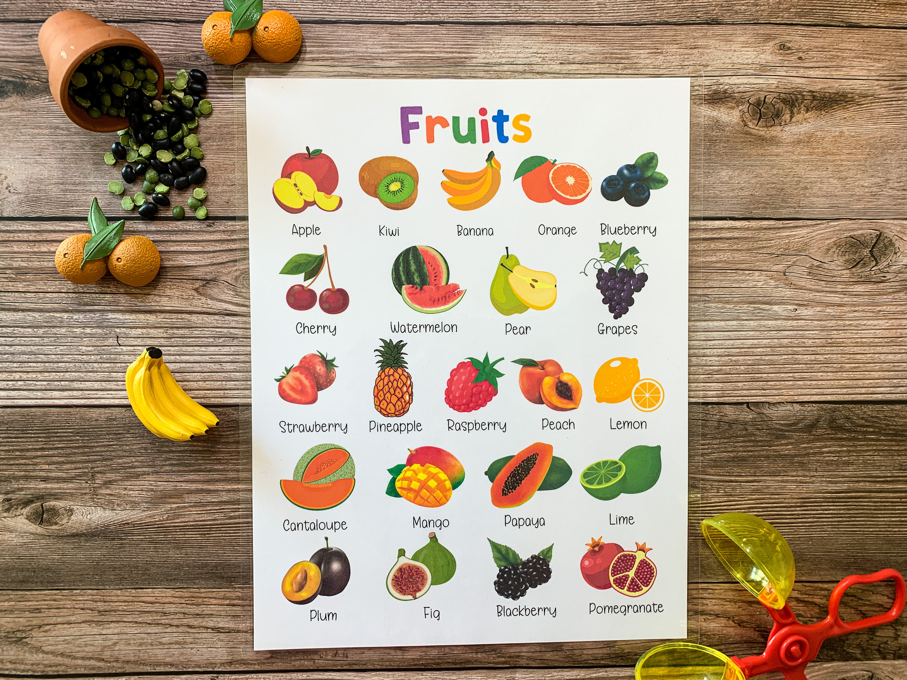 Fruits Educational Poster, Classroom Decor, Learn Fruits, Fruit Print ...