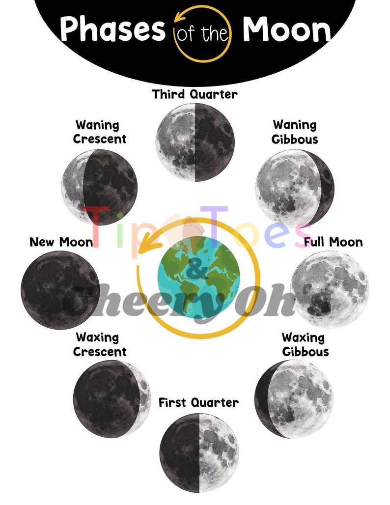 Phases of the Moon Bundle Science Activities for Kids Moon - Etsy