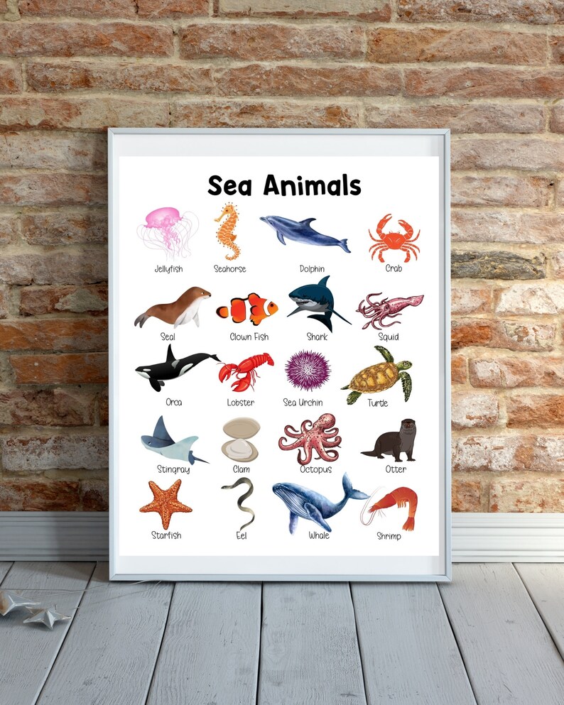 Sea Animals, Classroom Decor, Science, Homeschool Printable, Montessori ...
