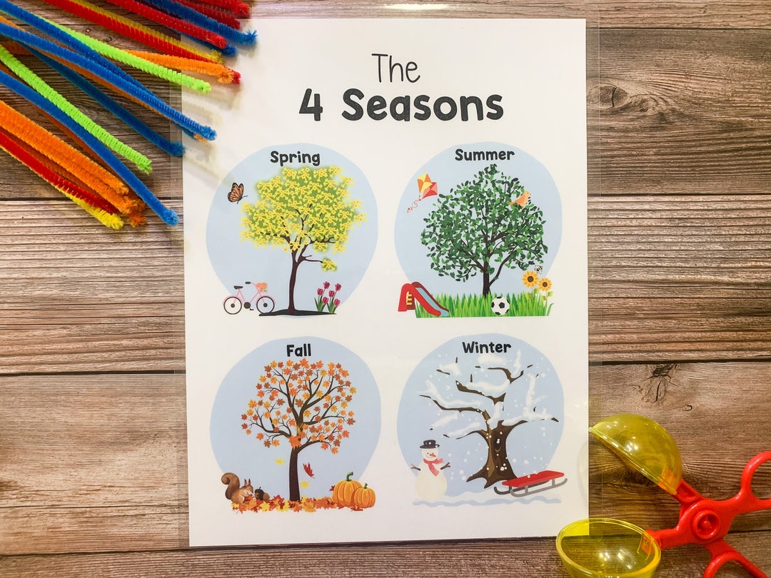 The Four Seasons Printable, Spring, Summer, Autumn, Winter, Homeschool ...