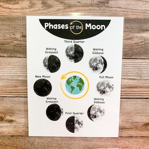 Phases of the Moon Bundle, Science Activities for Kids, Moon Phase ...